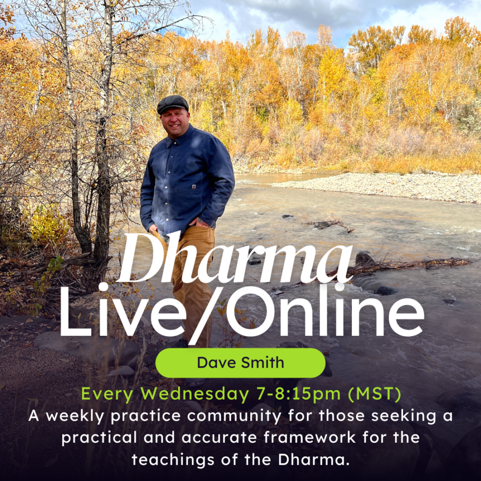 Online Courses | Dave Smith Dharma